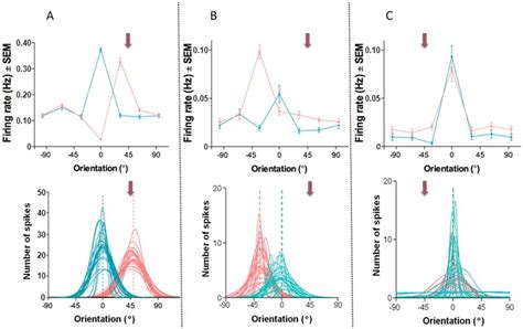 Three Examples Of Orientation Shifts From Left To Right A Download Scientific Diagram