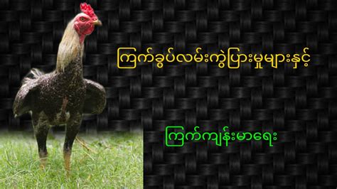 ခွပ်လပ်ကွဲပြားခြင်းနှင့်ကျန်းမာရေး Youtube