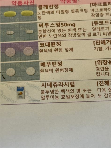 초콜릿 먹고 감기약 지식in