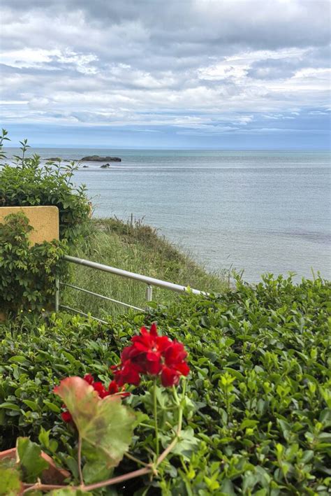 Царево Камериерка с опит Камериерка Кораба Арапя Фирма Трудов договор Туризъм хотели Подходяща з