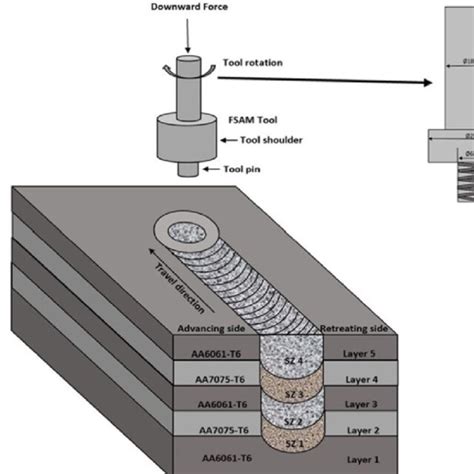 Samples Extracted From Fsam Build Download Scientific Diagram