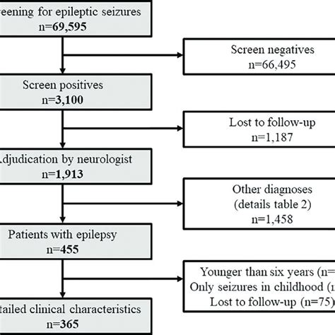 Flowchart Of The People With Epilepsy With Detailed Characteristics