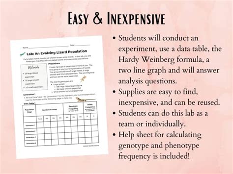 Lab Genotype And Phenotype Frequency In Lizard Populations By