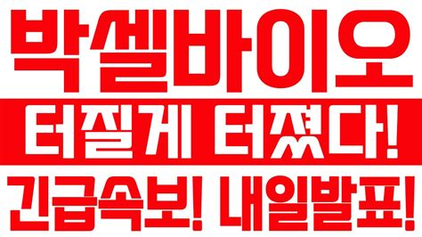주식 🔥박셀바이오 대박속보 팩트만 말합니다 금양 포스코케미칼 로봇 삼성로봇 2차전지 리튬 휴림로봇 레인보우로보틱스 뉴로메카 Youtube