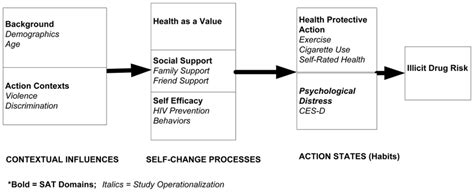 Operationalization Of Social Action Theory Model Download Scientific Diagram Operationalization Of Social Action Theory Model Download Scientific Diagram