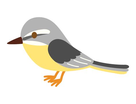 かわいいキセキレイのイラスト 無料のフリー素材 イラストエイト