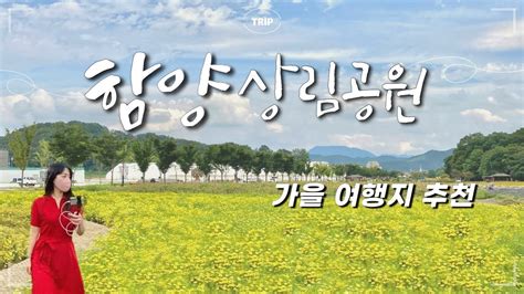 함양 상림공원은 지금 가을맞이 꽃단장 중 추석가족여행9월 여행지 추천인생샷 명소국내여행 브이로그 Vlog Youtube