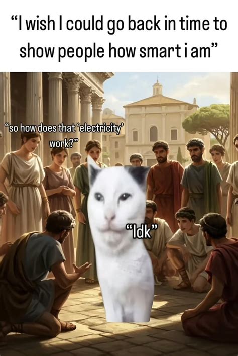 White Cat Meme Character Meme Encyclopedia Gagbase Ai Powered