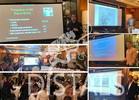 Tigertriever13 Rapid Medical Rapid Medical