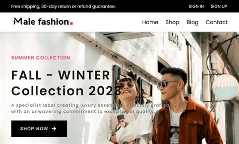10 Ecommerce Pages Using Html Css And Js Codewithcurious
