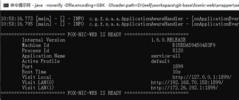 Foxnic Web —— 构建与部署应用 Csdn博客