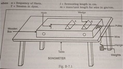 Sonometer Experiment Class 11 Physics Youtube