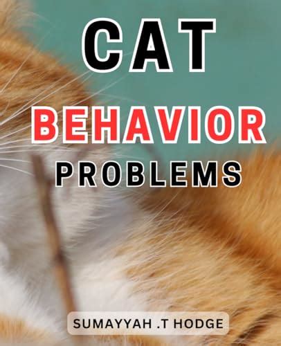 5 Month Old Kitten Behavior A Definitive Guide To Understanding And