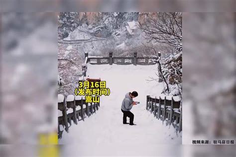 雪天游客跑山全程战战兢兢 结局却总是这么的出人意料