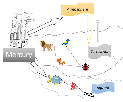Tracking Mercury Pollution Sources Developing An Analytical Method For