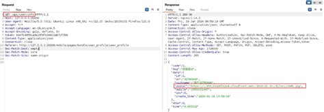Khai thác CVE 2024 24028 SSRF Server Side Request Forgery Cookie Arena Penetration Testing