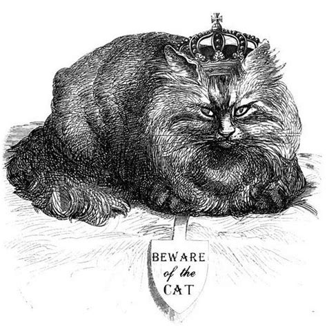 винтаж | Cats, Clip art vintage, Vintage cat