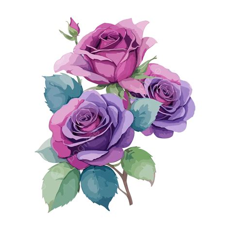 Beautiful Watercolor Rose Flower Frame Vector Beautiful Watercolor Rose Flower Frame Rose