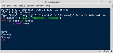 How To Use A For Loop In Python With Examples