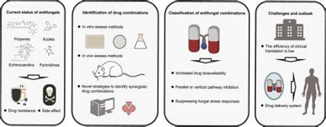 新的抗真菌策略：药物组合和共同给药 Advanced Drug Delivery Reviews X Mol
