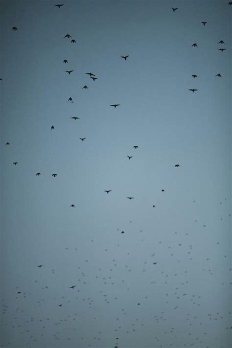 Issue 9 Macro And Micro