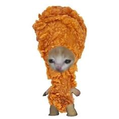 Chicken Pics Chicken Pfp Pretty Chickens Cute Chickens