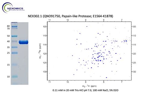 Catalogue Proteins Nexomics Biosciences Inc