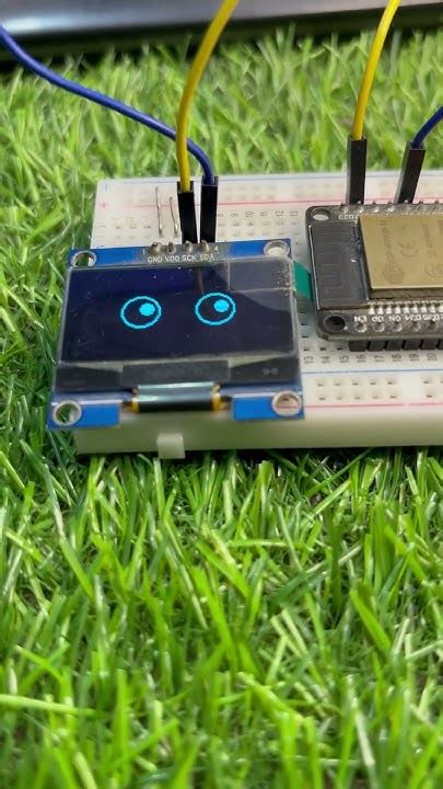 Animated Eyes On Oled Display Esp32 Diy Project Shortsfeed Shorts Diy Arduino