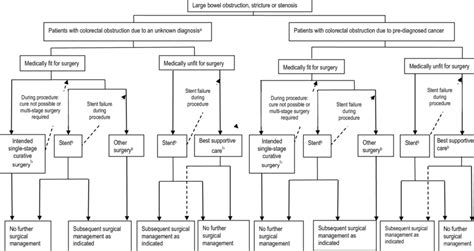 Proposed Clinical Management Algorithm Download Scientific Diagram