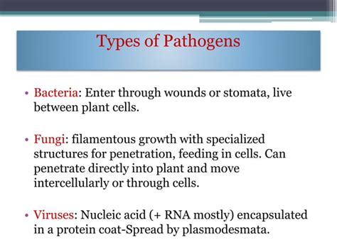 Host Pathogen Interaction Plants Pptx