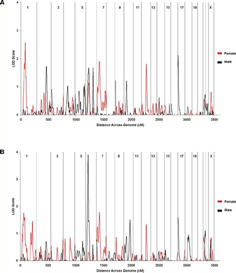 Results Of The Genomewide Same Sex Pair Linkage Analysis Are Download Scientific Diagram