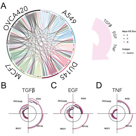 Data Driven Pipeline Scoring Of Time Dependent Data A Shows The