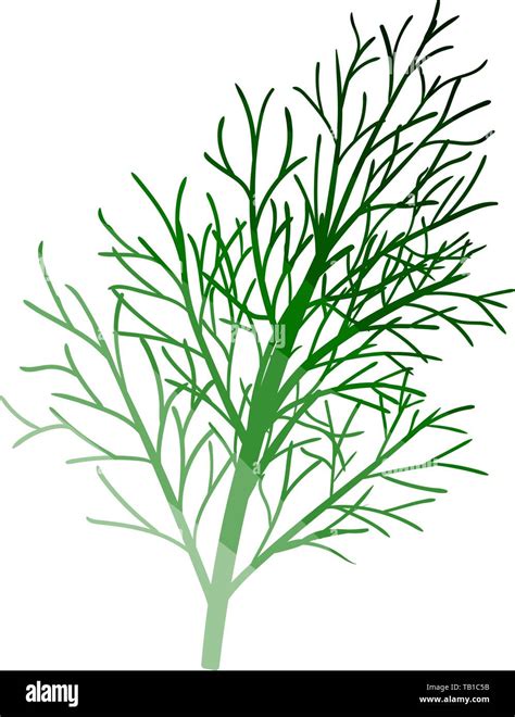 Dill Icon Flat Color Ladder Design Vector Illustration Stock Vector Image And Art Alamy