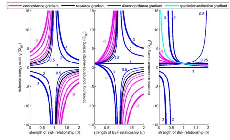 Effects Of A Positive Biodiversity Ecosystem Function Bef
