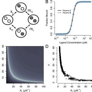 Parameter Estimation For A Two Site Sequential Binding Model A Download Scientific Diagram