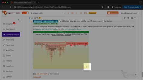 Analyze Openrestynginx Applications Without Debug Symbols Using Openresty Xray Openresty