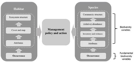 Relationship Of Biodiversity Variables For Conservation Habitat And