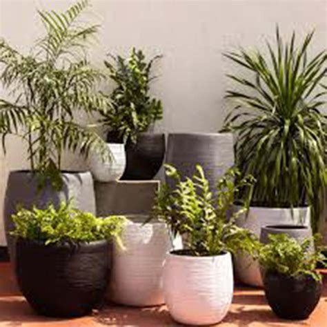 Frp Pots And Planters Jti