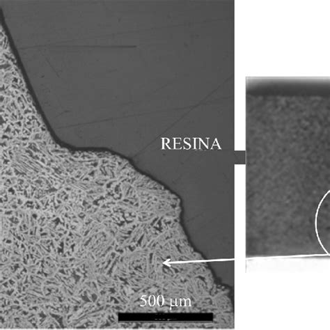 Microestructura En El Otro Lado De La Superficie De Fractura De La Download Scientific Diagram