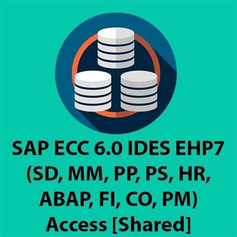 Sap Ecc Ehp Online Remote Server Access In Surat ID
