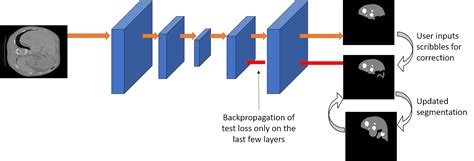 Semi Automatic Medical Image Annotation