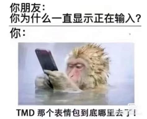 别利切夫在极地 今日梗圖 Facebook