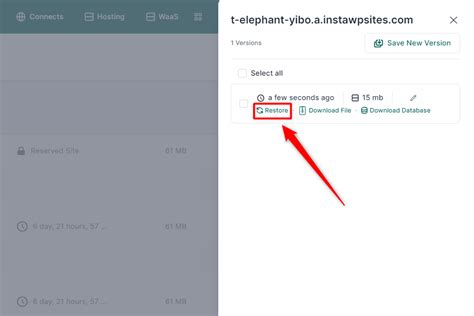 Wordpress Development Simplified With Instawp