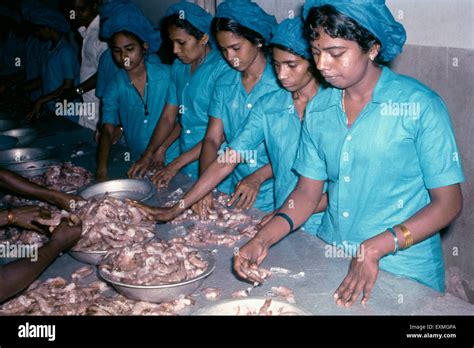 Fish Processing Plants In Kenya At Olivia Quinn Blog