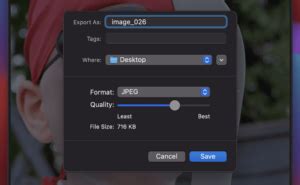 Lossy Vs Lossless Compression A Beginner S Guide To Both Formats