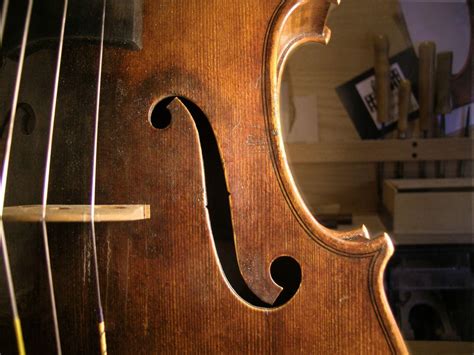 Viola Wallpapers Top Free Viola Backgrounds Wallpaperaccess