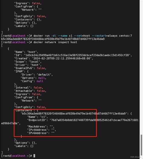 Docker网络配置 Csdn博客