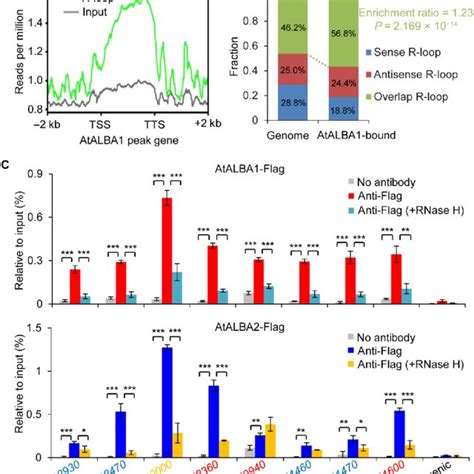 History Of R Loop Research The Diagram Depicts Major Developments In Download Scientific