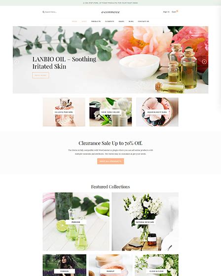 Ecommerce Wordpress Theme Inkthemes