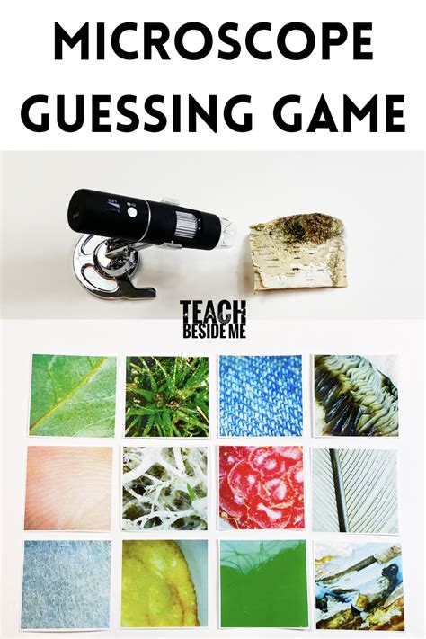 Microscope Guessing Game Name That Magnified Object Quiz Britannica